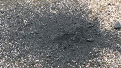 Gloucestershire meteorite is first UK find in 30 years - BBC News