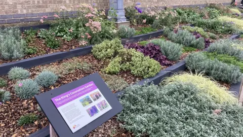 Britain in Bloom: Brandon takes gold and wins Town category