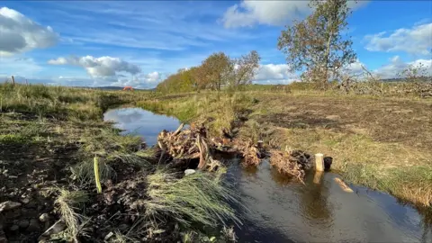 Storm Arwen-damaged trees used in Aberdeenshire river project