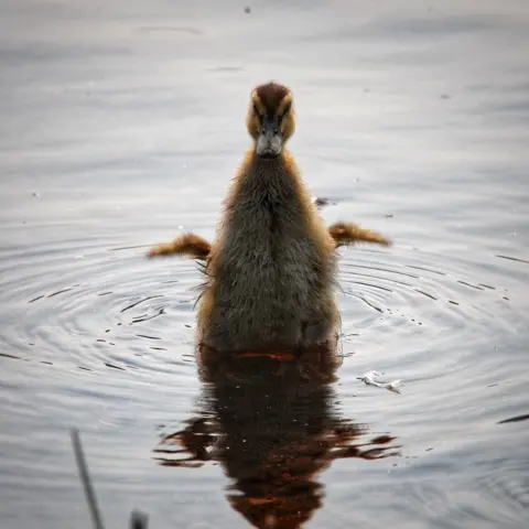 Your pictures of Scotland 23-30 July