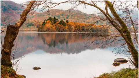 Your Pictures: North East and Cumbria painted in autumn colours