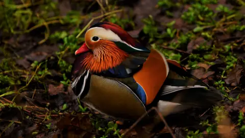 Your pictures of Scotland: 1 - 8 March