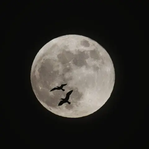 Your pictures: Super blue Moon lights up Scotland's skies