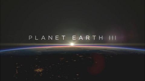 Planet Earth III: Three things we learned from episode one - BBC Newsround