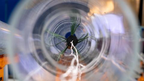 BT's new lab in Suffolk to work on mole-inspired robots - BBC News