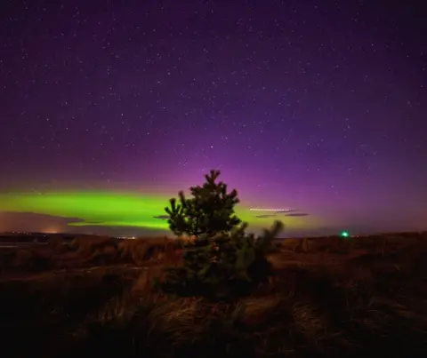 Your pictures of Scotland: 22 - 29 December