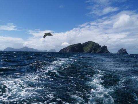 Your pictures on the theme of 'amazing adventure' - BBC News