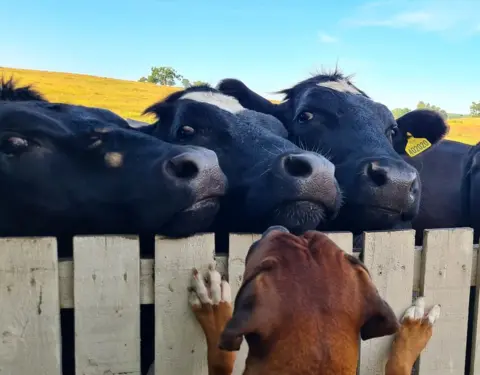 Your pictures of Scotland: 20 - 27 August