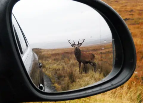 Your pictures of Scotland 13 - 20 November