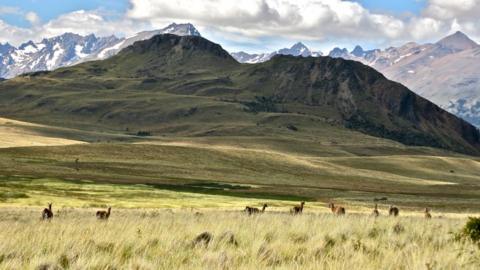 Chile creates national parks from donated land - BBC News
