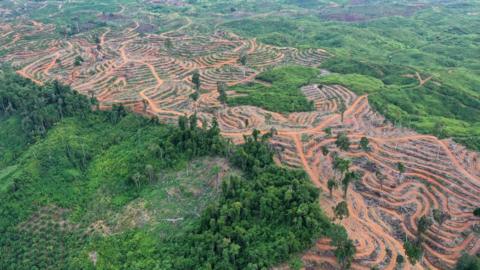 Stop abusing land, scientists warn - BBC News