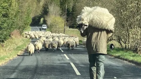 Your pictures of Scotland 23 - 30 April