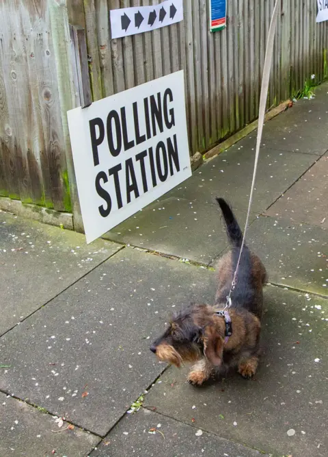 Local elections 2024: Dogs at polling stations