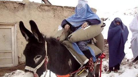 'Donkey ambulance' saddles developed in Wales helping mothers - BBC News