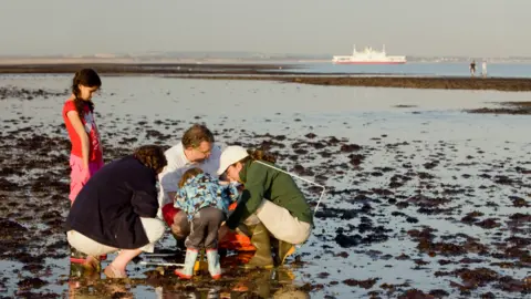 Kent: Coastal events celebrate National Marine Week