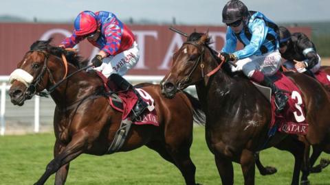 Horse Racing - Latest news, fixtures & schedule - BBC Sport