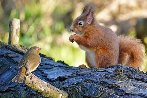 Your pictures of Scotland: 15 - 22 December