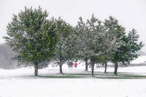 England's Big Picture: 25 - 31 January