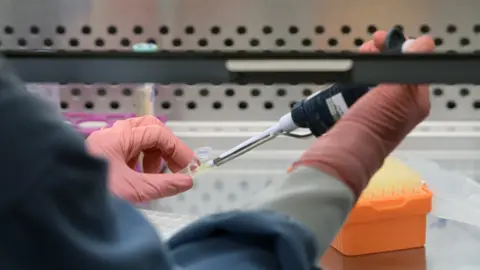Novosibirsk: 'No risk' after blast and fire at Russian lethal virus lab