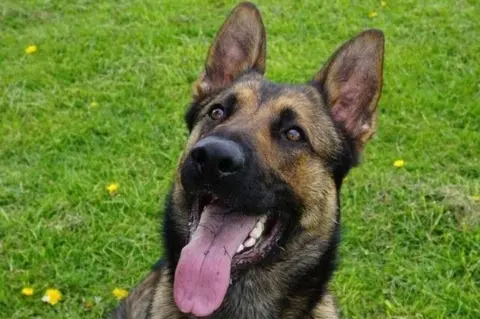 Dog show tribute for former Nottinghamshire Police handler