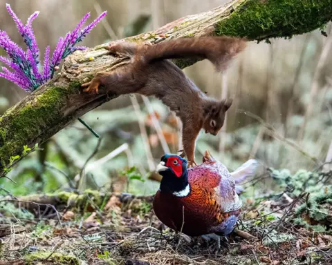 Your pictures of Scotland: Photographs from around the country