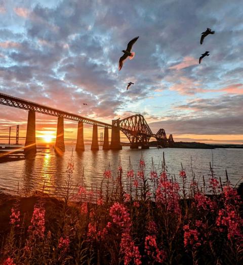 Your pictures of Scotland: 22-29 July - BBC News