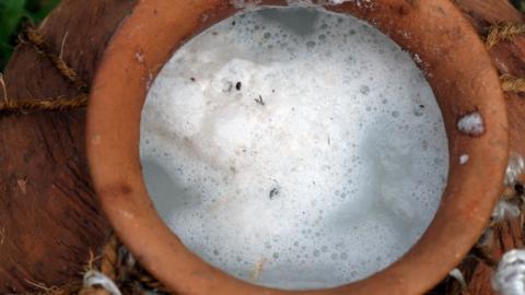 How Sri Lanka's arrack coconut spirit went upmarket - BBC News