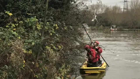 Gull with beak impaled on fishing hook seen dangling from tree
