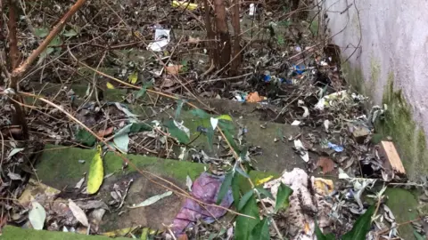 New campaign launched to save 500-year-old city steps