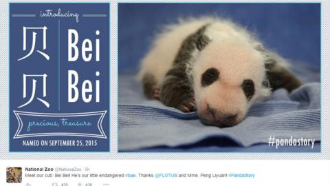 US and China first ladies name US panda cub Bei Bei - BBC News