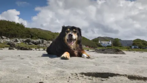 Your pictures of Scotland 24 - 31 July