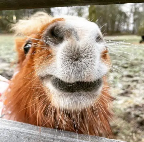 Your pictures of Scotland 29 January - 5 February