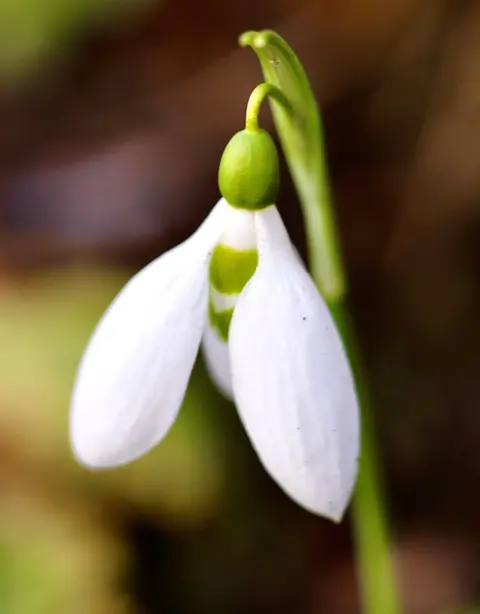 Your pictures of Scotland: 3-10 February