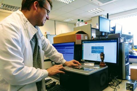 World's longest DNA sequence decoded - BBC News