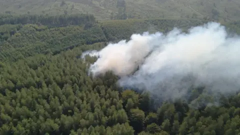 Fire service warning after huge blaze in Cannock Chase woodland