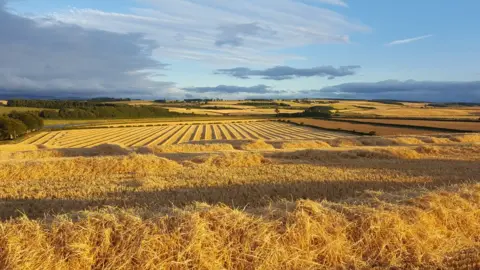 Your pictures of Scotland: 21 - 27 July