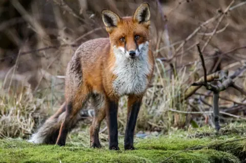 Your pictures of Scotland: Photographs from around the country