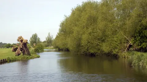 Calls for more powers to control tourism at Dedham Vale