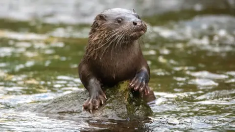 Your pictures of Scotland 30 October - 6 November