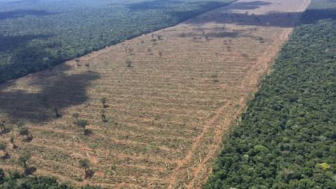 Brazil's indigenous leaders risk their lives fighting for survival ...