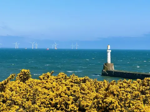 Your pictures of Scotland: 21-28 April