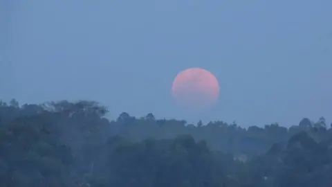 The 'supermoon' celestial wonder seen across the UK