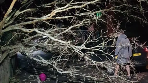 Winter weather: Thousands without power after gales hit UK
