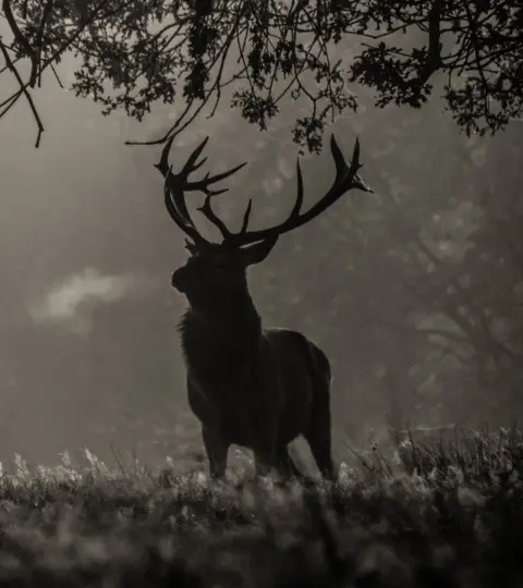 England's Big Picture: 1 - 7 January