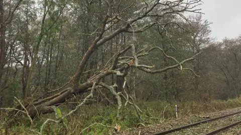Greater Anglia train services resume after tree falls on line