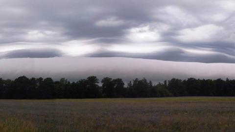 'New' wave-like cloud finally wins official recognition - BBC News