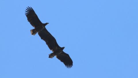 Your pictures of Scotland: 24-31 March - BBC News