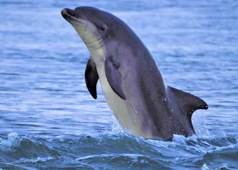 Your pictures of Scotland: 23 - 30 August