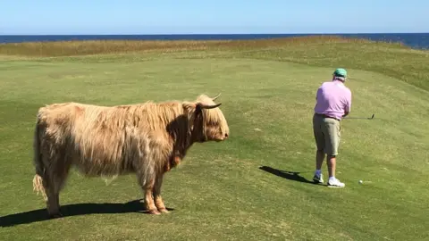 Your pictures of Scotland 24 - 31 July
