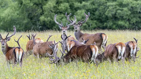 Your pictures of Scotland 3 - 10 July